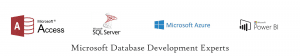 Choose the Right Microsoft Database for Your Needs - Excel and Access, LLC