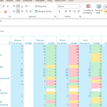 Microsoft Excel Lead Tracker Application - Excel and Access, LLC