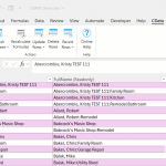 Microsoft Excel Lead Tracker Application - Excel and Access, LLC